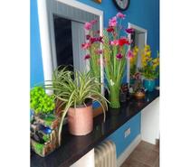 NEW JASMIN THAI MASSAGE - Coventry Keresley - Coventry massage ...